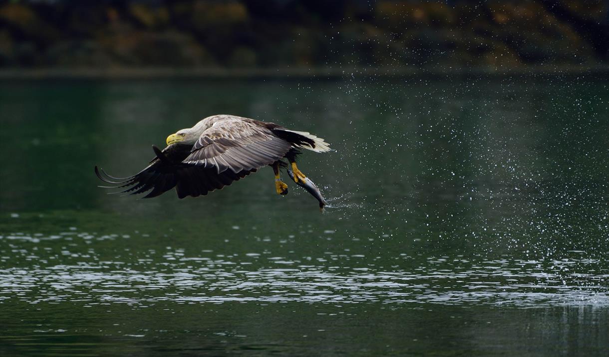 Lady Anne Wildlife Cruises - Isle of North Uist - Outer Hebrides