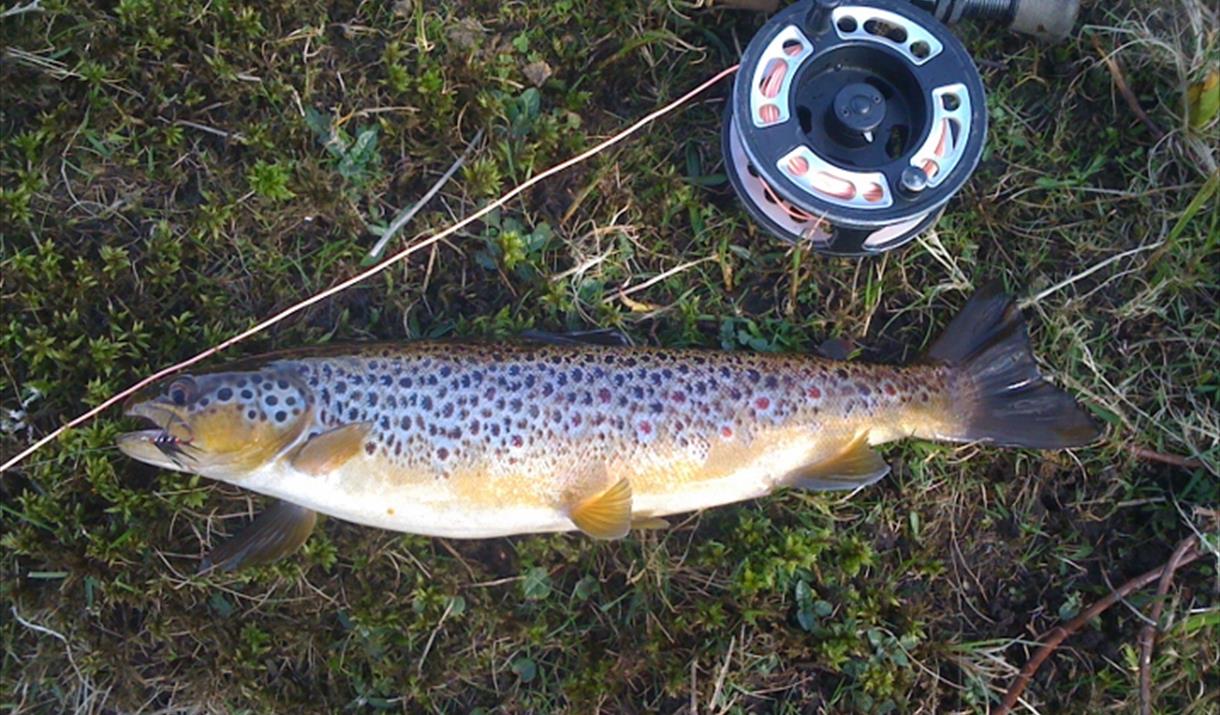 South Uist Fishing - Isle Of South Uist - Outer Hebrides