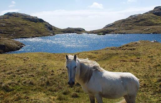 Eriskay - Outer Hebrides