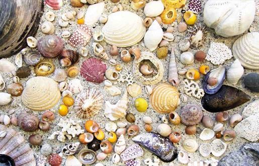 Berneray - Outer Hebrides