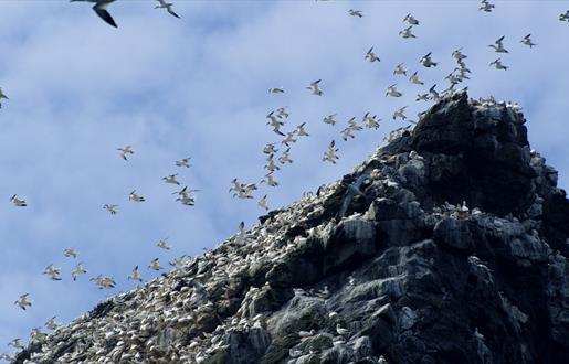 The Shiant Isles - Outer Hebrides