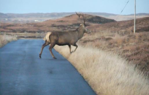 Great Bernera - Outer Hebrides