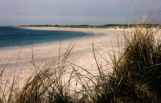 Beach and Machair in the Outer Hebrides - Outer Hebrides