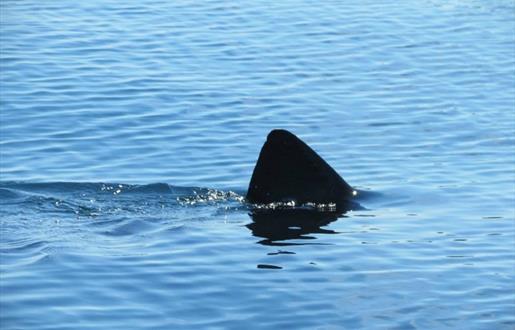 Monach Isles - Outer Hebrides