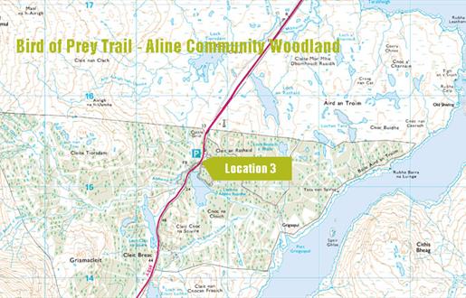 Golden Eagles in the Outer Hebrides