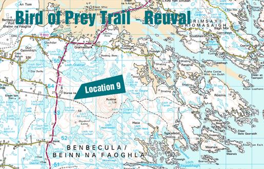 Birds of Prey in Benbecula, Outer Hebrides