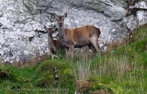 Monach Isles - Outer Hebrides