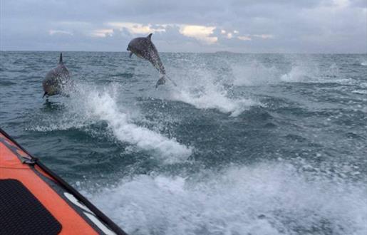 Monach Isles - Outer Hebrides