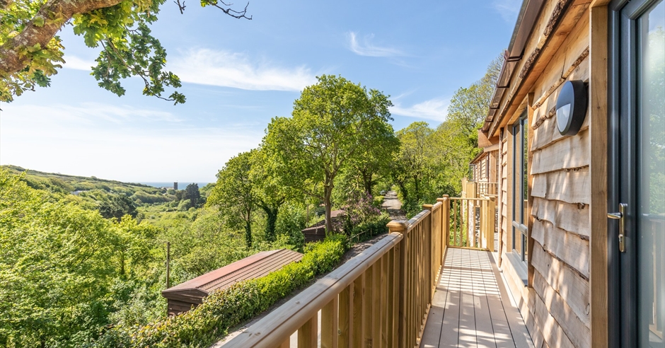 In Celebration of the Salt Path - Visit Plymouth