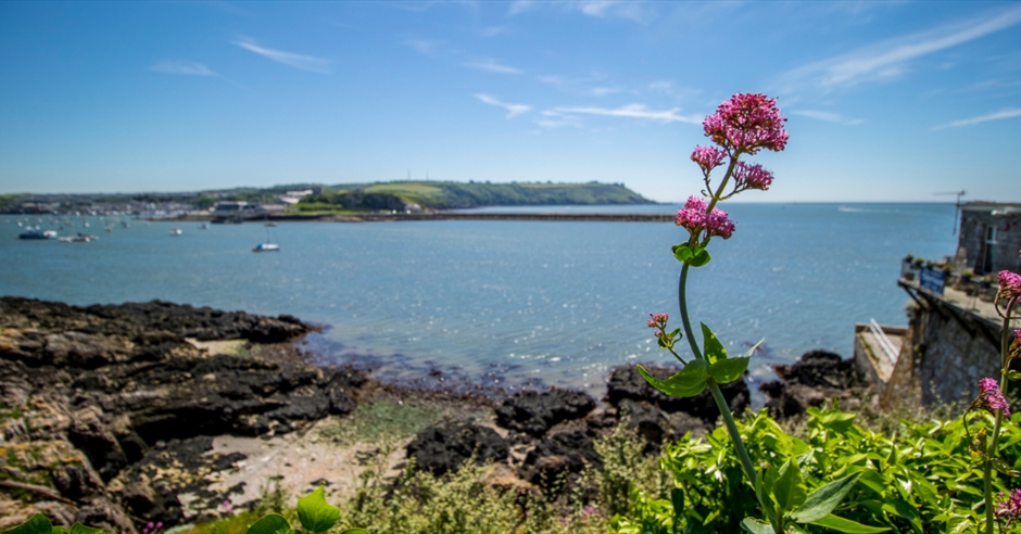 Plymouth’s Waterfront is going for Gold! - Visit Plymouth