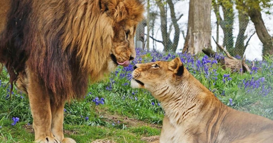 Family-friendly animal days out in Plymouth - Visit Plymouth