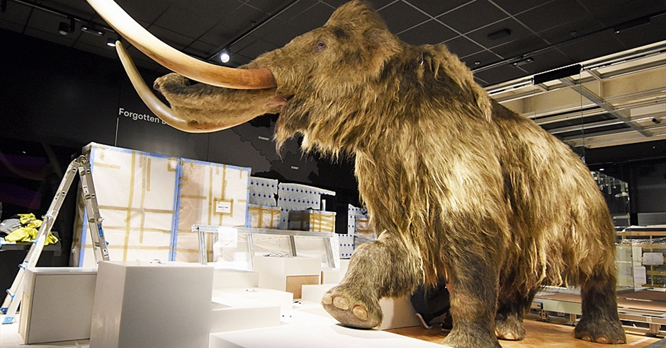 Mammoth moment for Plymouth - Visit Plymouth