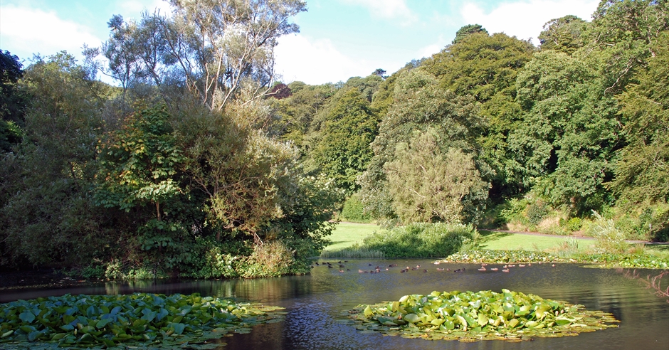 Mount Edgcumbe House & Country Park - Visit Plymouth