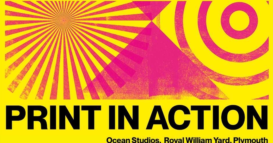 Print in Action - Visit Plymouth