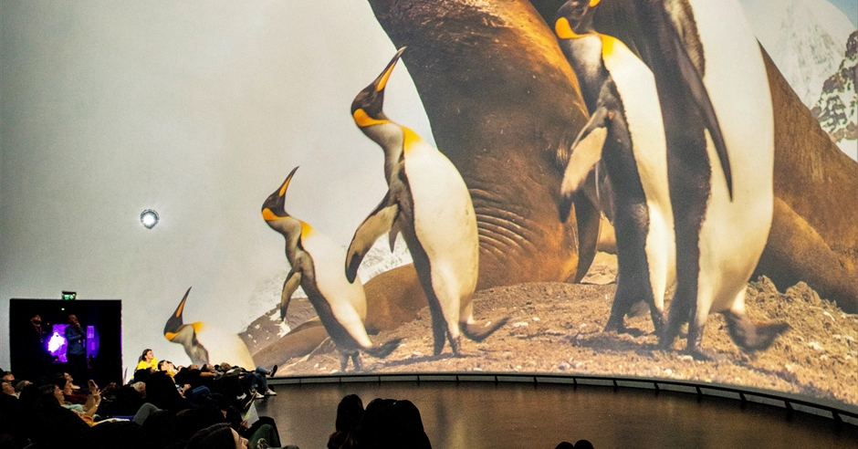 Immersive Dome Experience - BBC Antarctica - Visit Plymouth