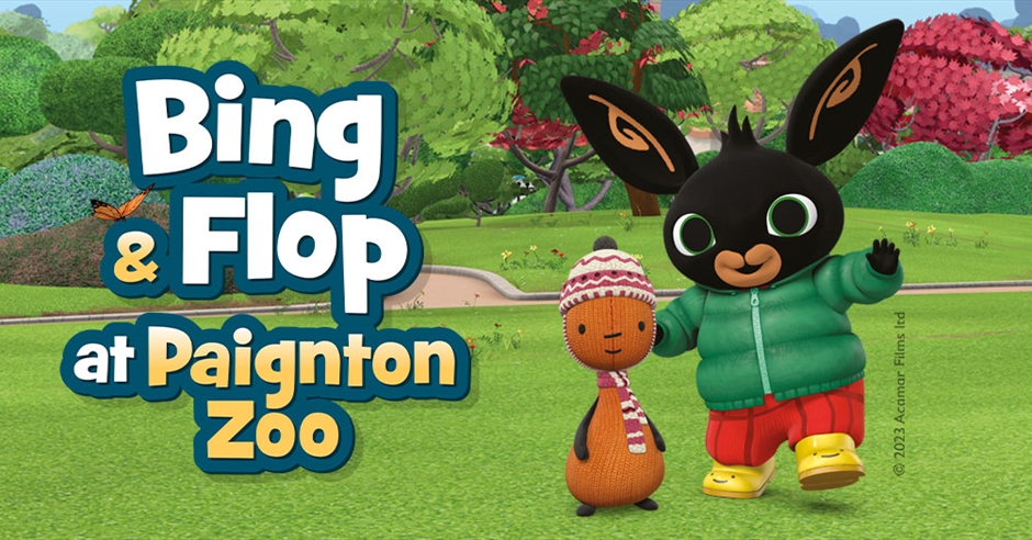 Bing & Flop - Visit Plymouth