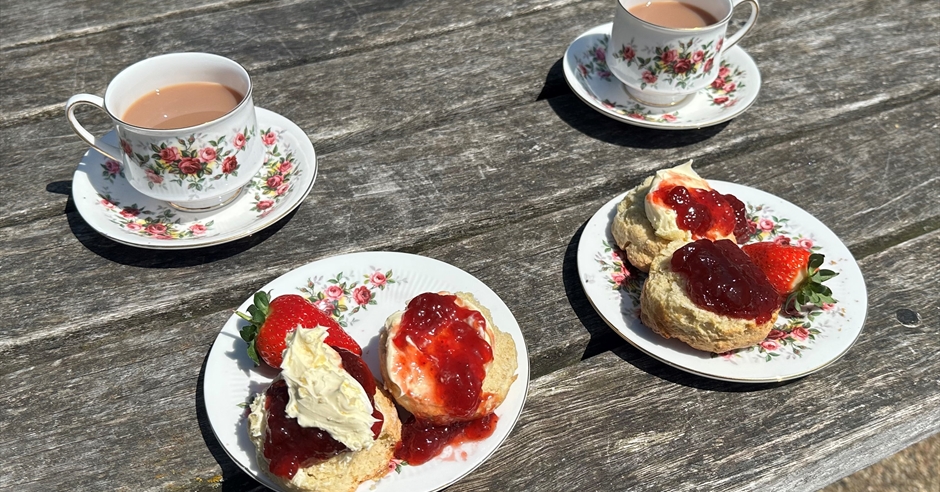 Cream tea tour at Bridging the Tamar - Visit Plymouth