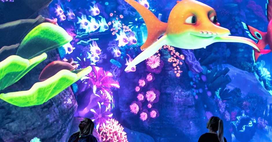 Immersive Dome Experience - Legend of the Enchanted Reef - Visit Plymouth