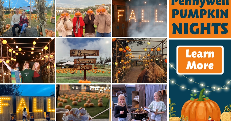 Pumpkin Nights at Pennywell Farm! - Visit Plymouth