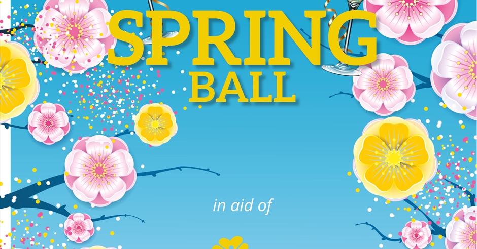 Charity Spring Ball - Visit Plymouth