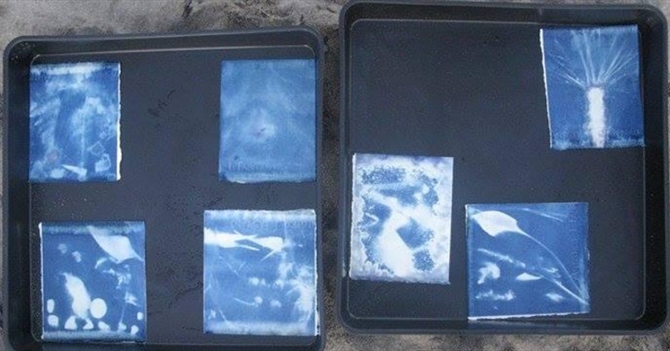 Sun printing with Cyanotypes - Visit Plymouth