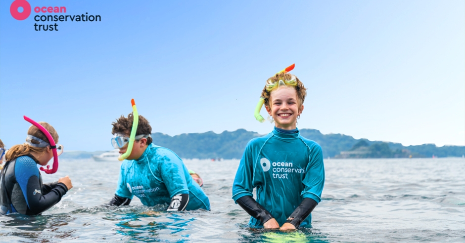 Beginner Snorkel Safaris with the Ocean Conservation Trust - Visit Plymouth