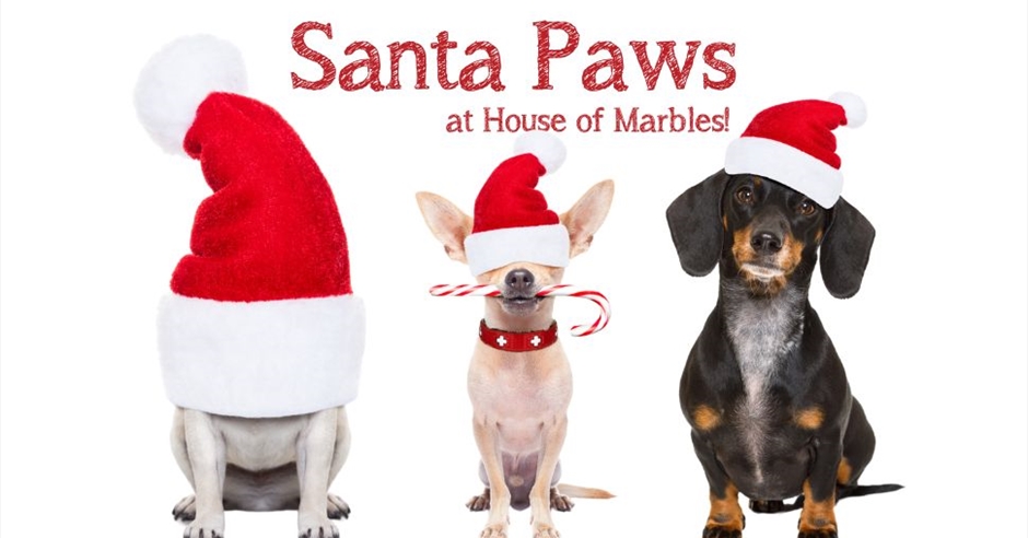 Santa Paws at House of Marbles - Visit Plymouth