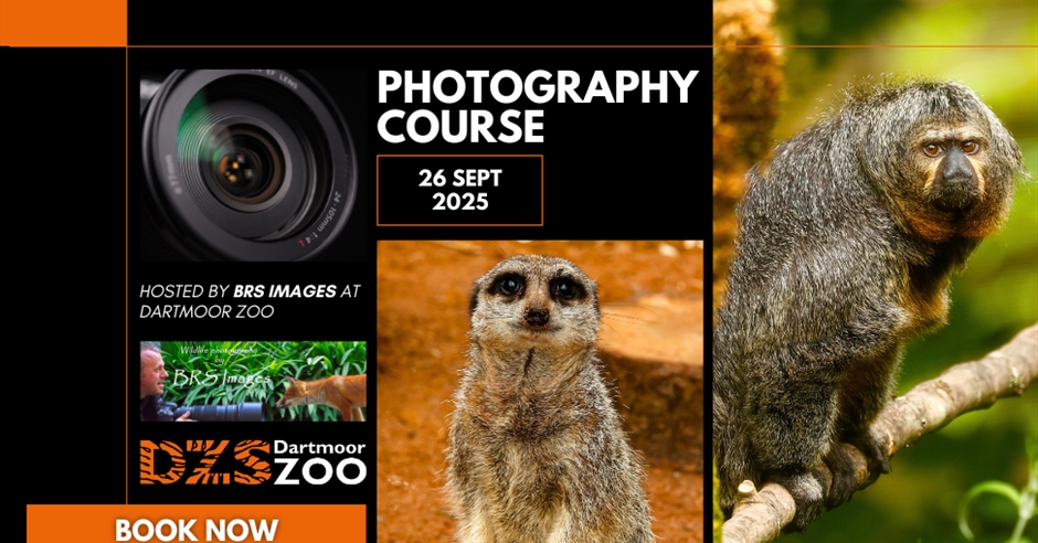 Photography Course with BRS Images - Visit Plymouth