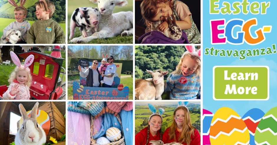 Easter Holiday Fun at Pennywell Farm - Visit Plymouth