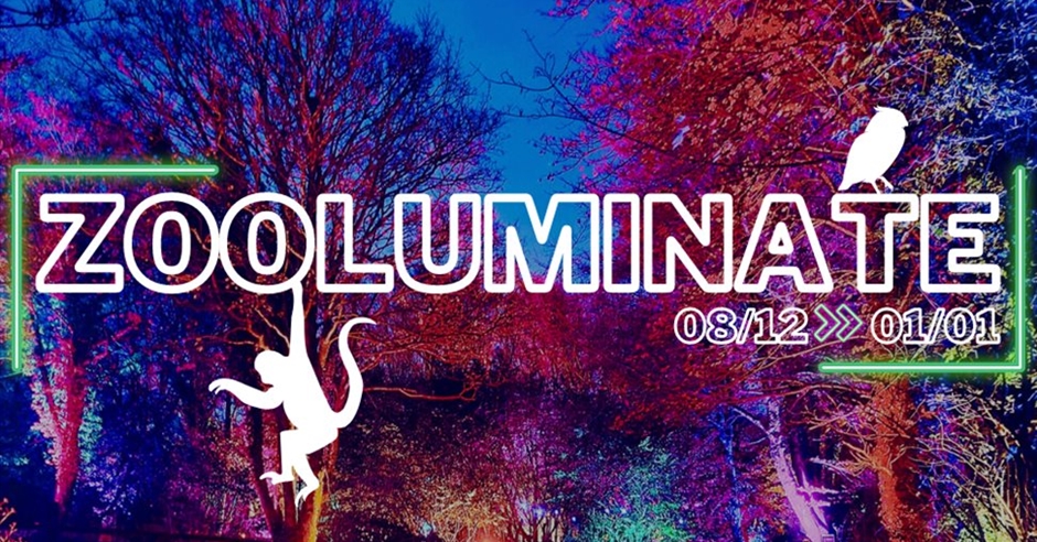 Zooluminate - Christmas, Sparkwell - Visit Plymouth