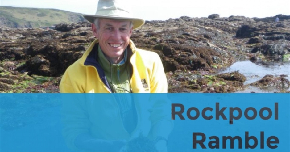 Rockpool Safari - Visit Plymouth