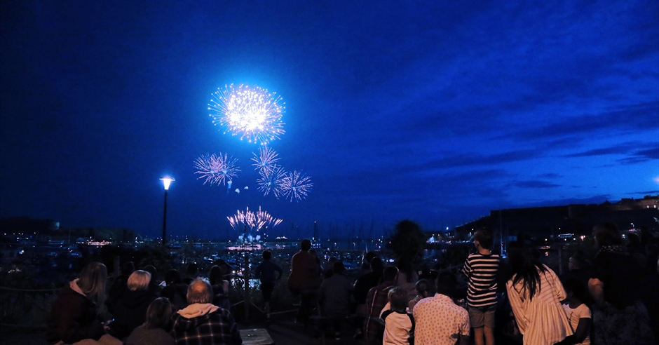 Fireworks at The Aquarium - Visit Plymouth