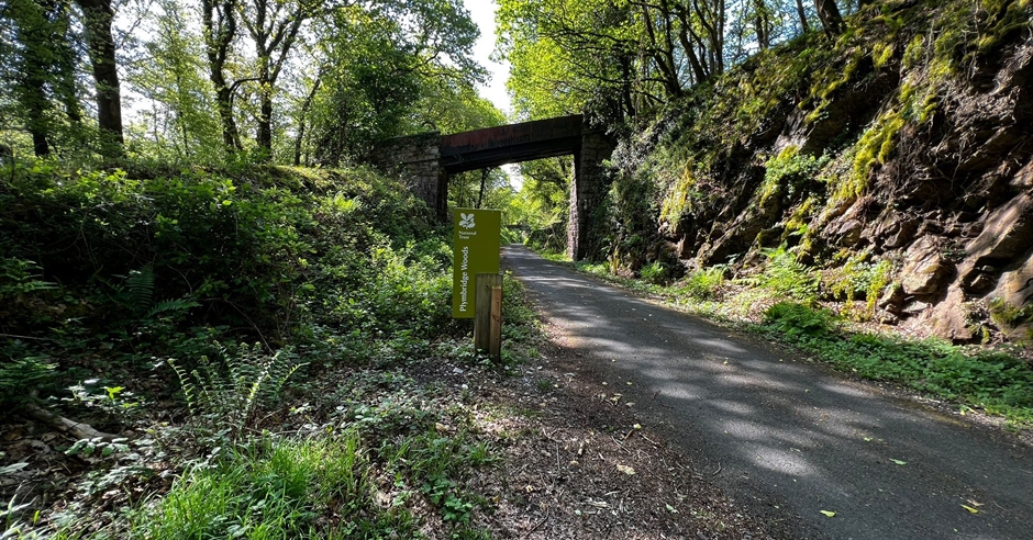 Plymbridge Woods - Visit Plymouth
