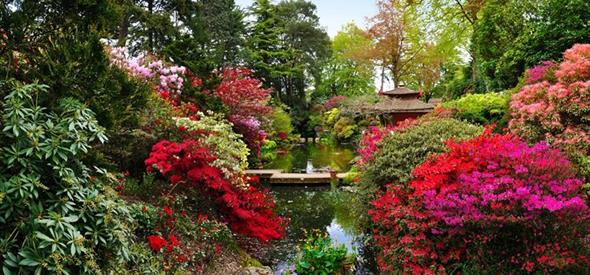 Poole Tourism - Official Poole Tourist Information