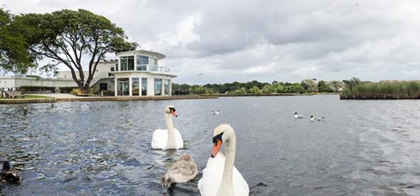 Attractions in Poole - Visit Poole