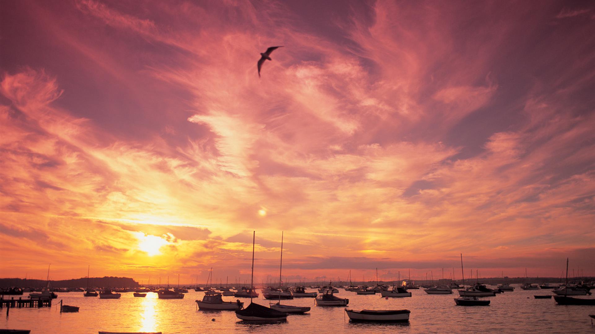 Ideas and Inspiration - Poole Tourism