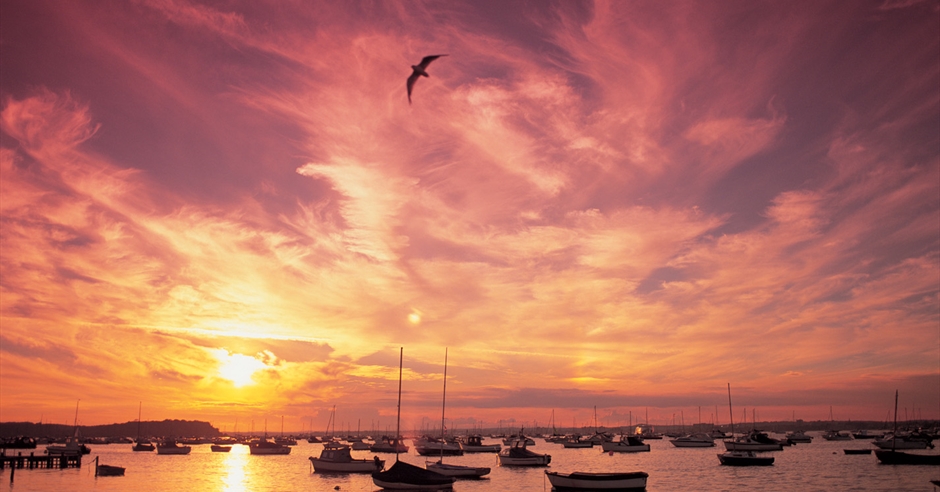 Poole Blog (Summer) - Poole