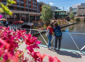 The Oracle - Visit Reading