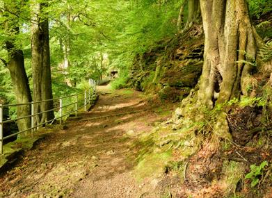 Healey Dell Nature Reserve - Nature Reserve in Rochdale, ROCHDALE ...