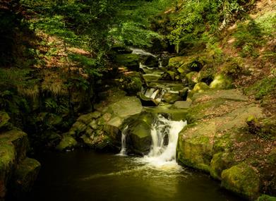 Healey Dell Nature Reserve - Nature Reserve in Rochdale, ROCHDALE ...