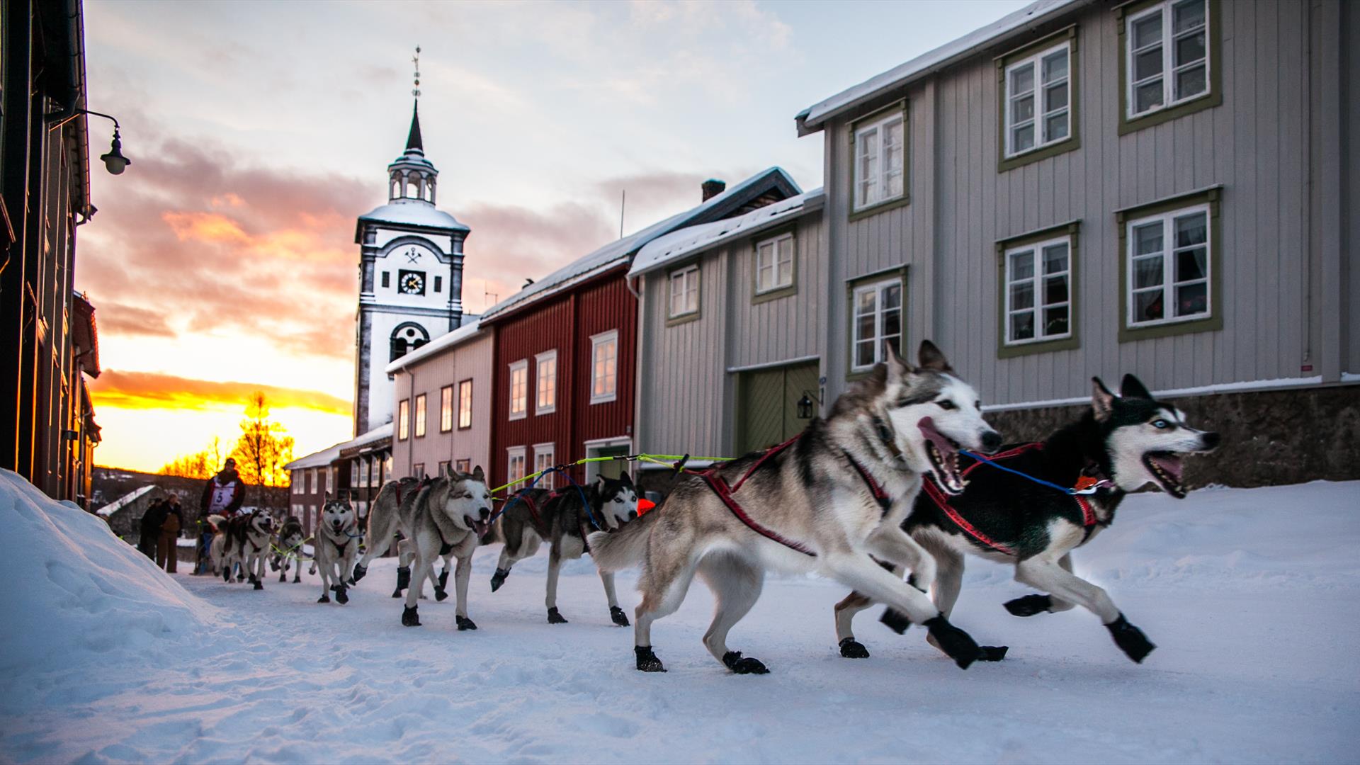Femundløpet - Visit Røros og Østerdalen