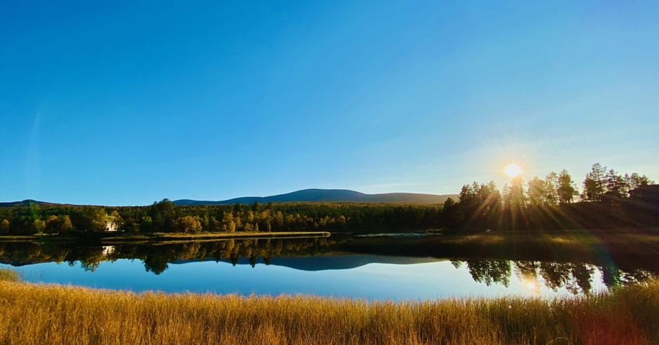 Velkommen til bergstaden Røros og Østerdalen