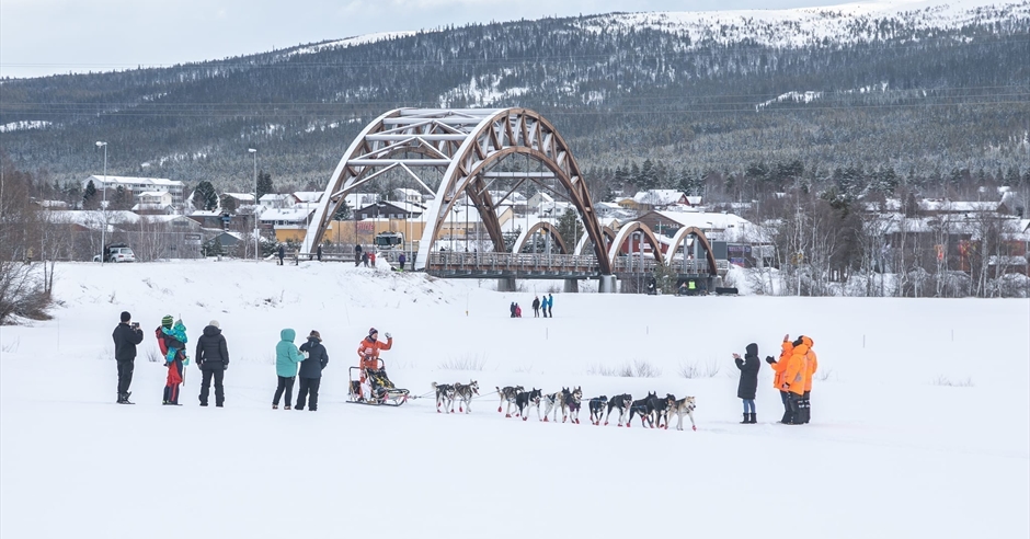Hvordan reise til Tynset - Visit Røros og Østerdalen