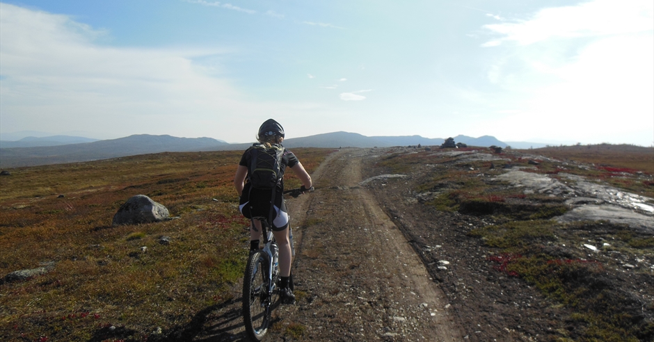 Cycling in the World Heritage site of Røros - Visit Røros and Østerdalen