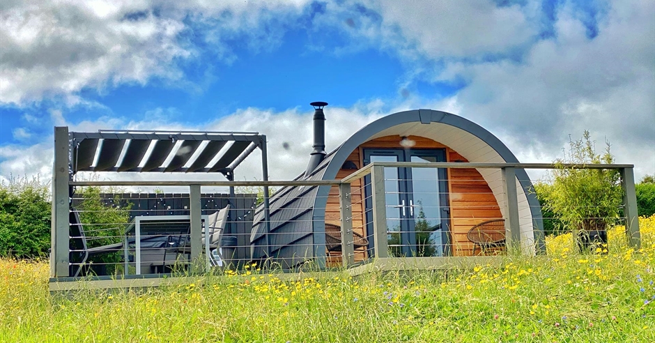 Sycamore Pods - Larne - Mid & East Antrim