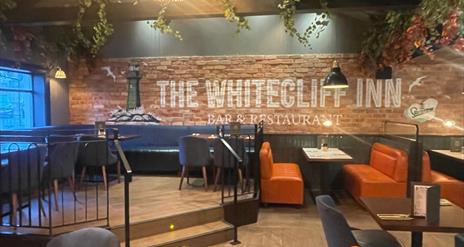 fuzzy bear whitehead