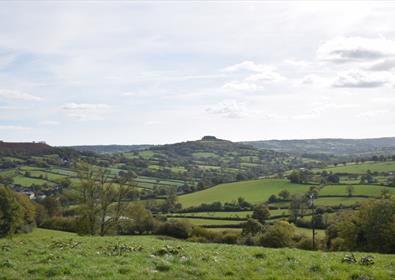 Blog (Top 10's) - Visit South Devon
