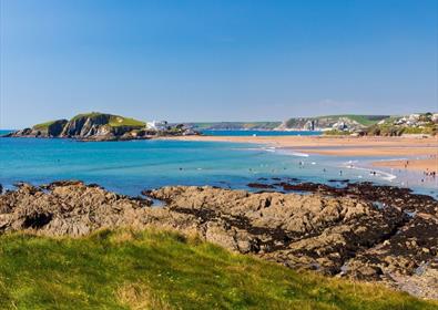 Blog (Countryside) - Visit South Devon