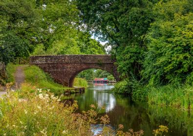 Visit South Devon - Official South Devon Tourist Website