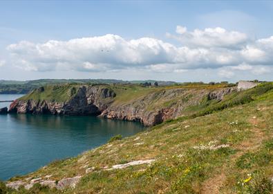 Visit South Devon - Official South Devon Tourist Website